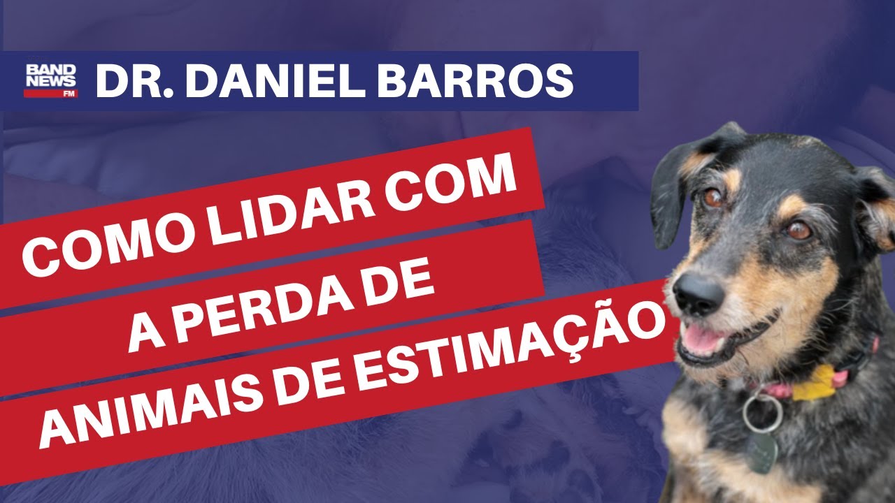 Estopinha: como lidar com o luto ao perder animais de estimação | Dr ...