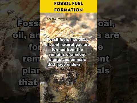 How Have Fossil Fuels Shaped Civilizations