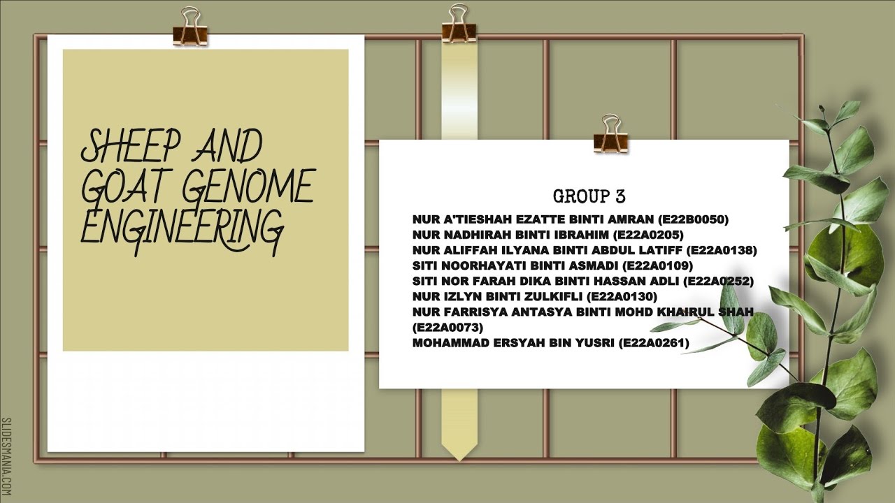 ENT 1253-SHEEP AND GOAT GENOME ENGINEERING - YouTube