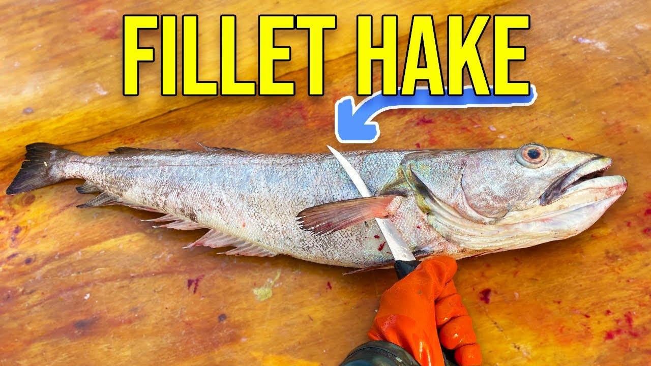 2 Ways to Clean and Fillet Hake (Professional Fisherman Explains) - YouTube
