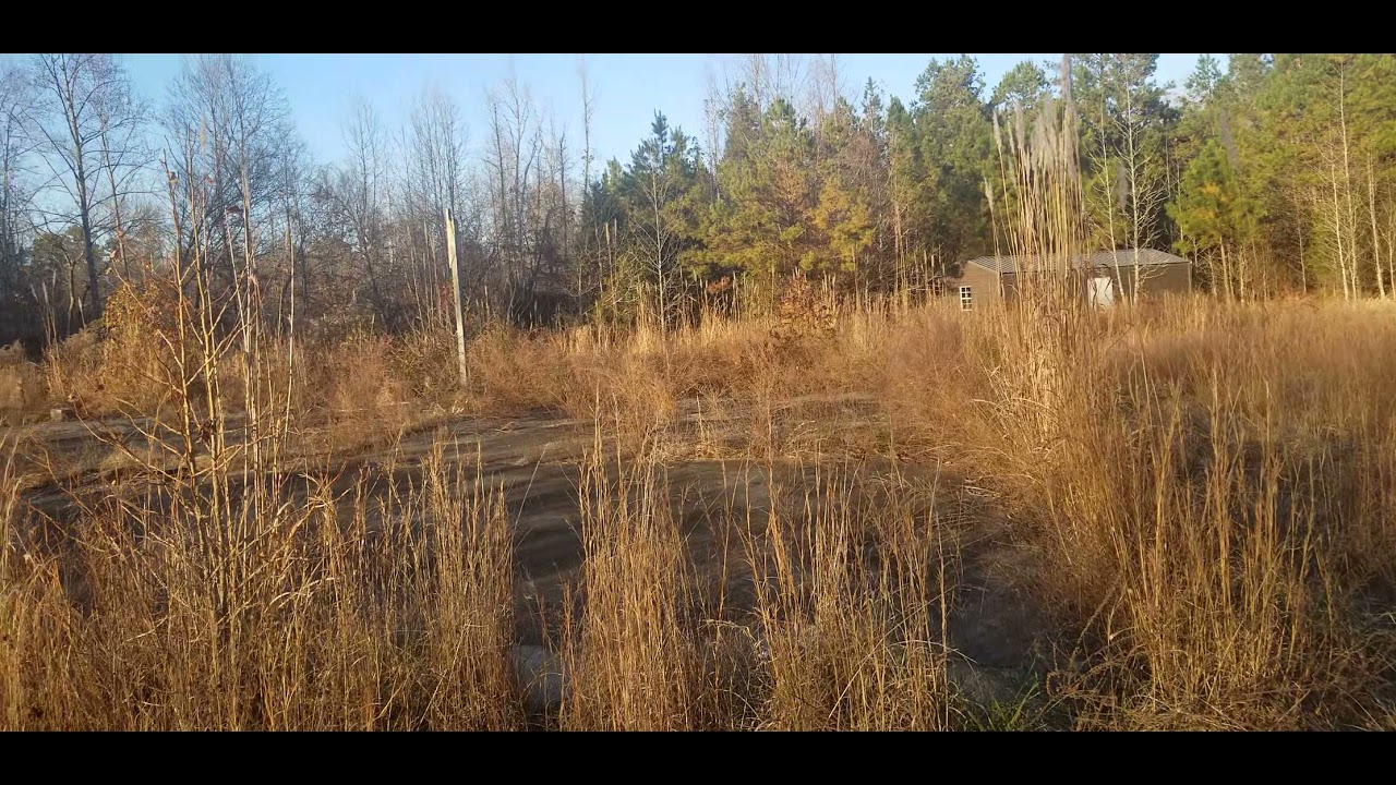 Purdy Tennessee - YouTube