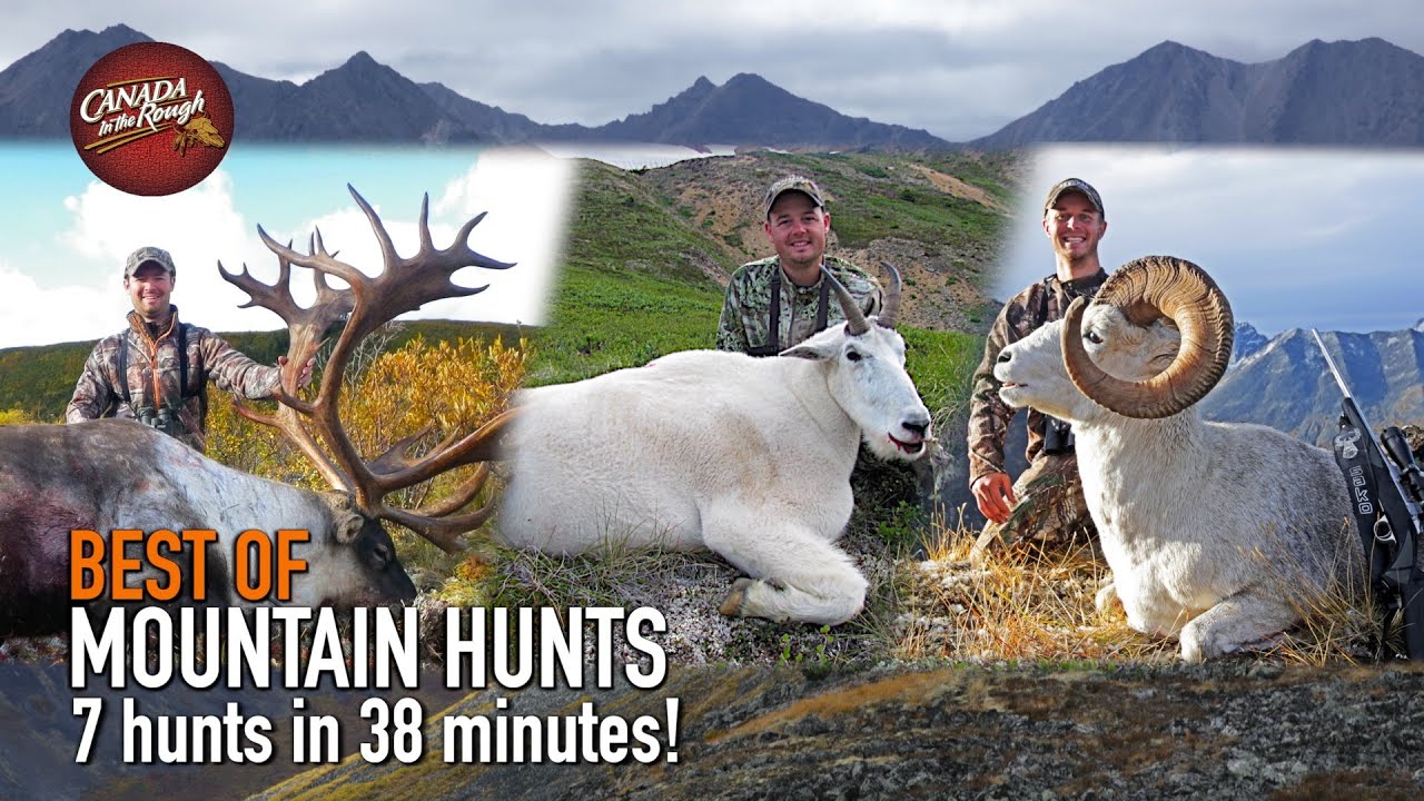 Best Of Mountain Hunts | Goats, Sheep, Elk & Caribou (BEST OF HUNTING ...