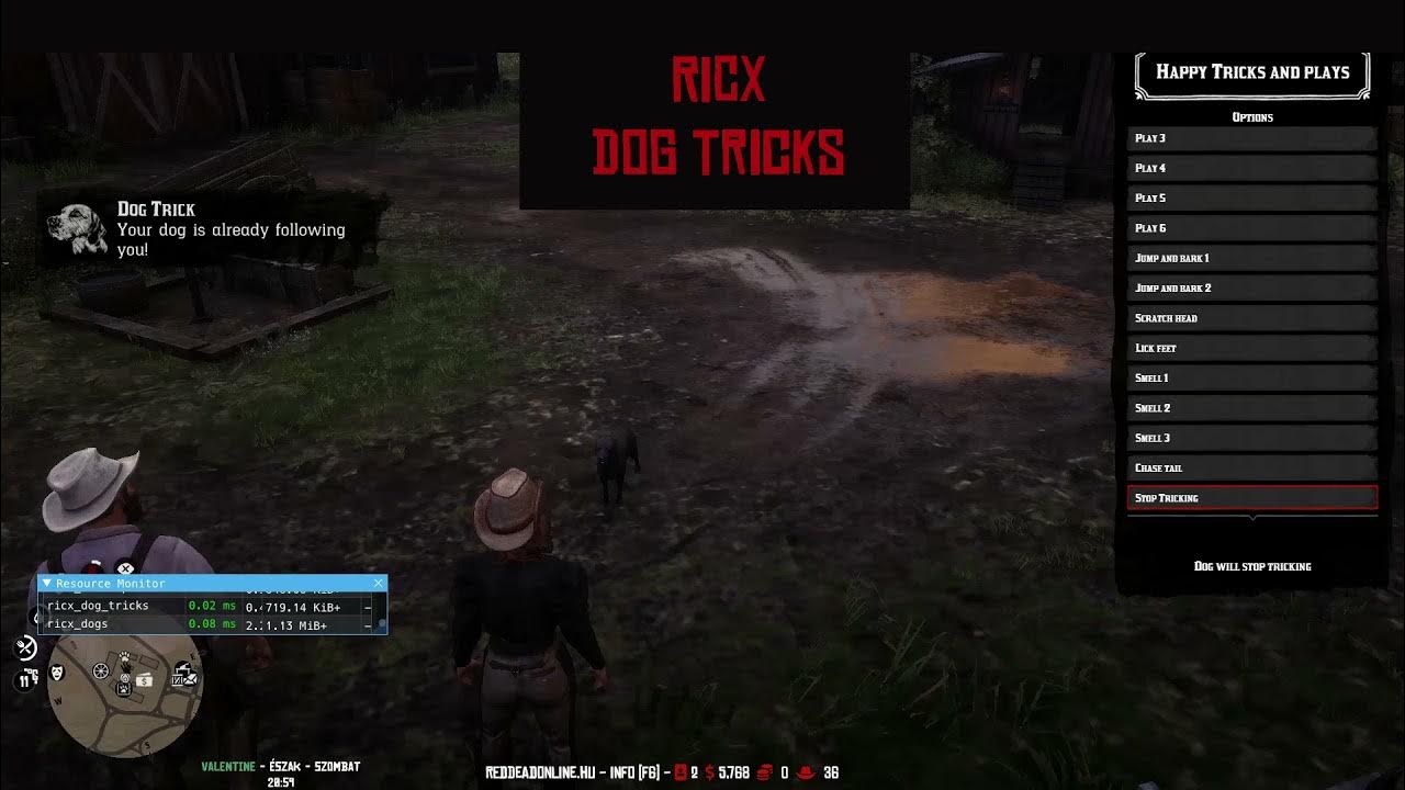 RedM Scripts - RicX Dog Tricks - RDR2 Red Dead Redemption Script - YouTube