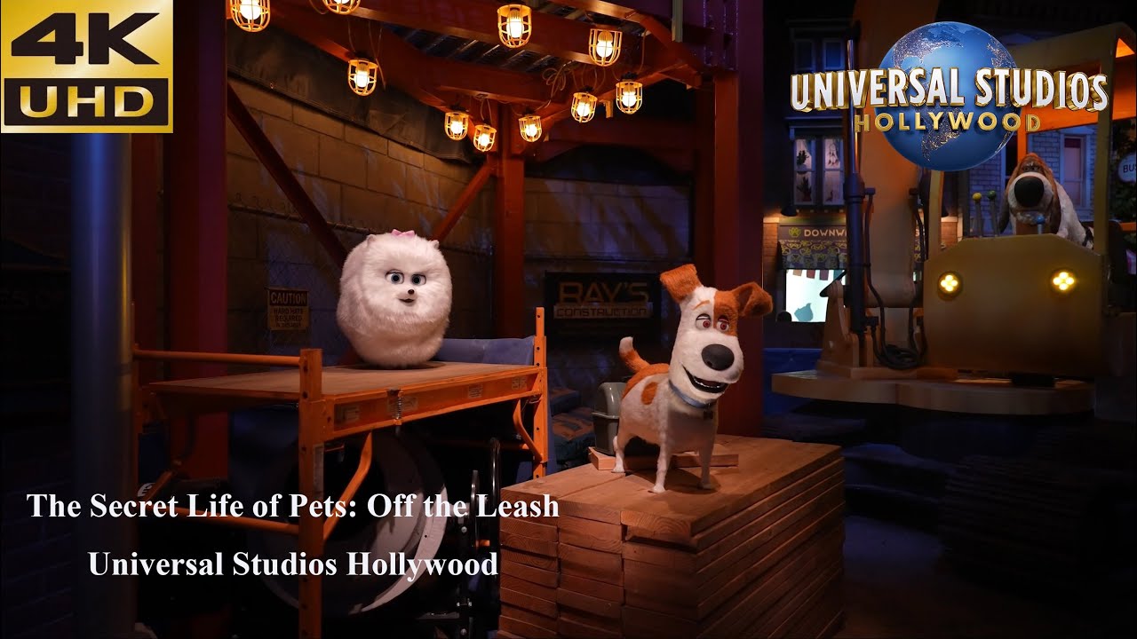 [4K] The Secret Life of Pets: Off the Leash - Universal Studios ...