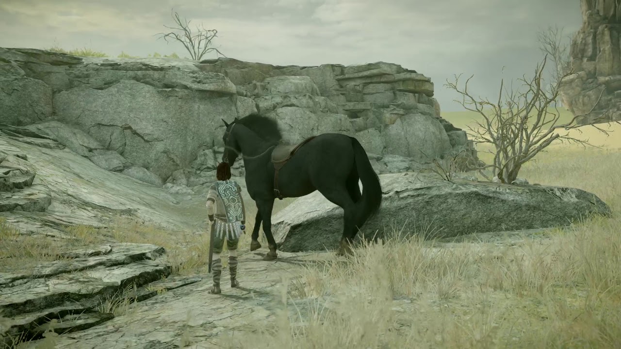 SHADOW OF THE COLOSSUS - My horse needs a reboot - YouTube