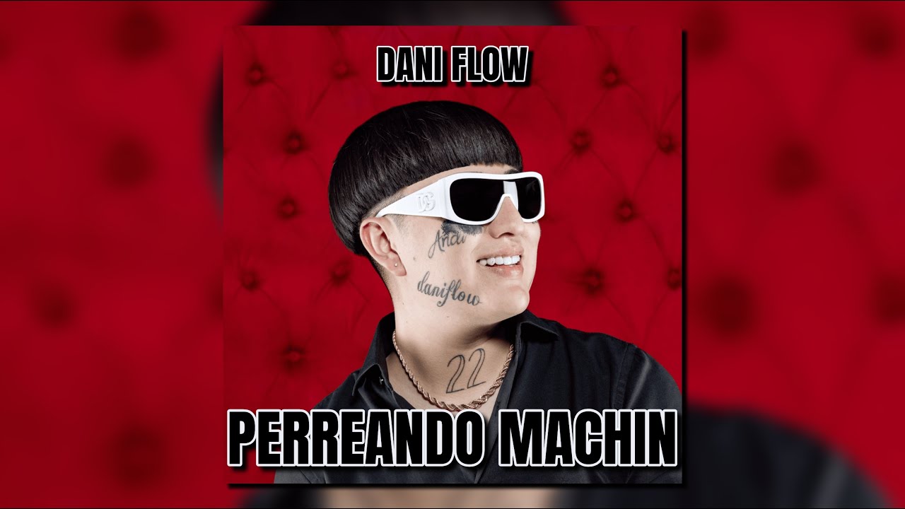 PERREANDO MACHIN - Dani Flow (Audio Oficial) - YouTube Music