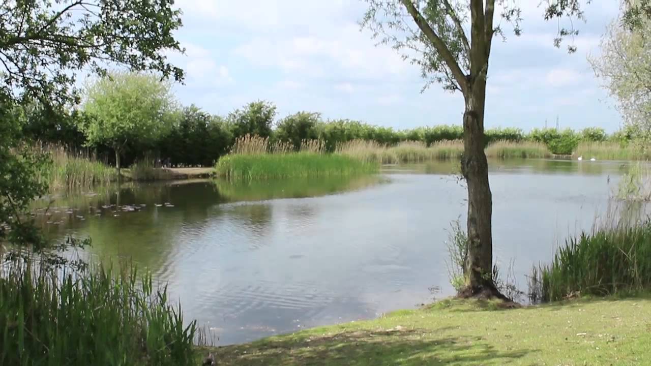 Picks Cottage Fishery: The S Lake - YouTube