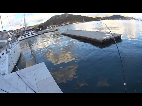 Posljednji pozdrav Xorus Patchinko 100 - prvi ribolov u 2026. godini. 1:0 za brancine