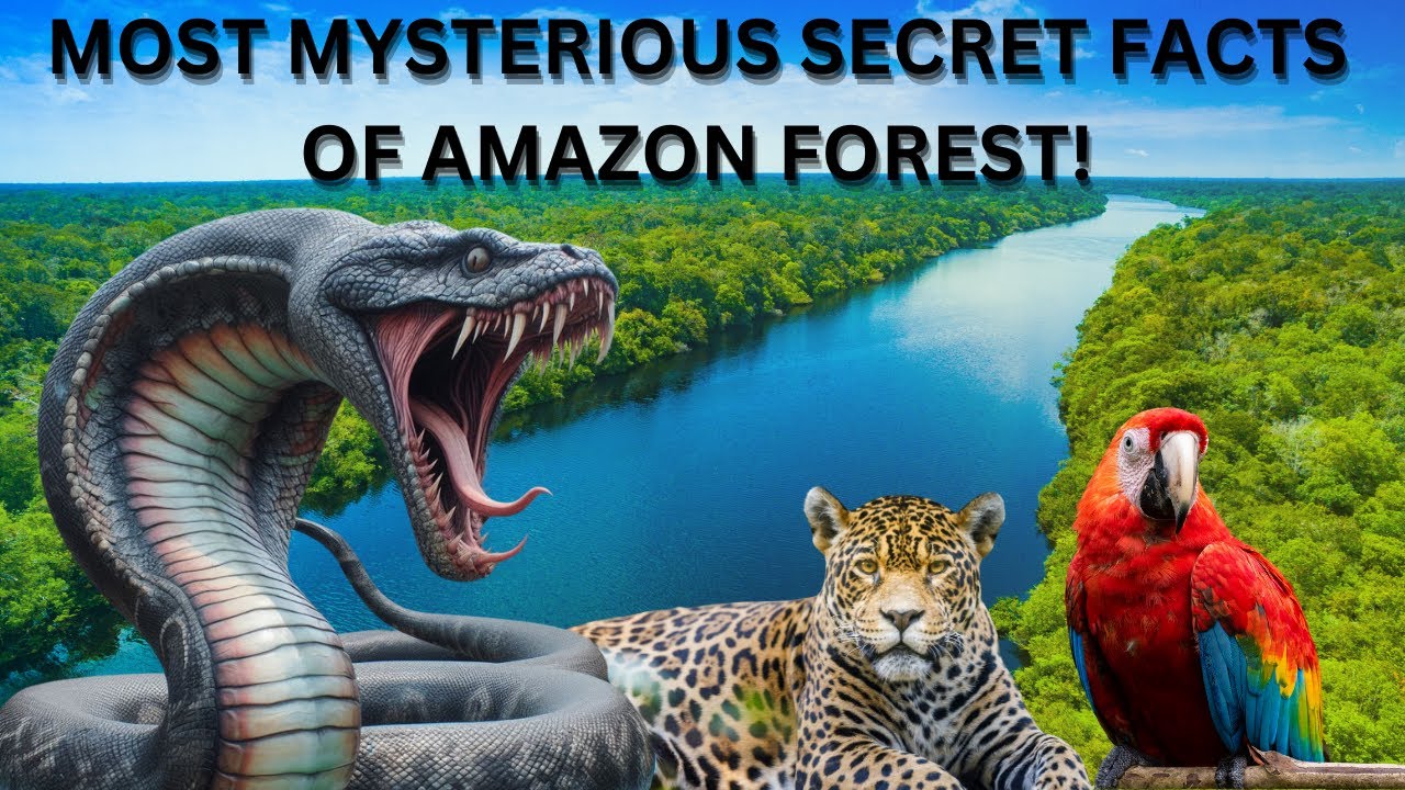 15 Astonishing Facts About the Amazon Rainforest - YouTube