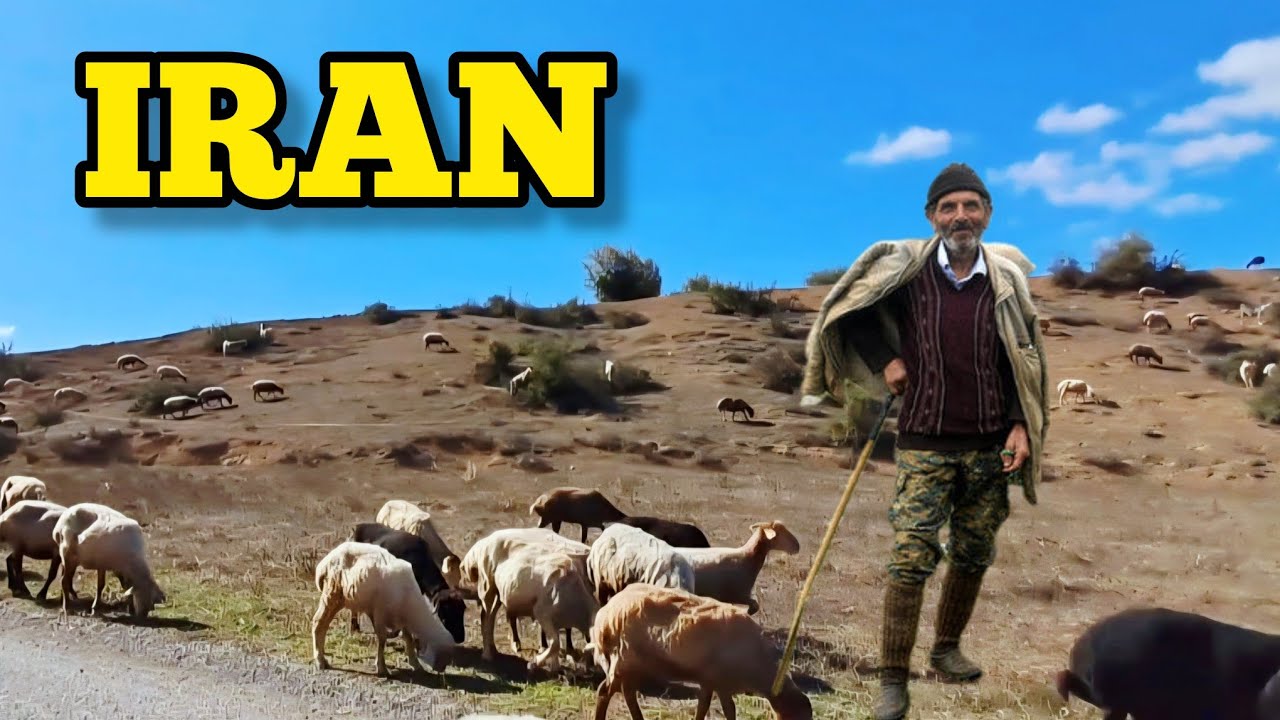 Driving to the Summer Highlands of Iran 🇮🇷 | Green Mountains, Cows ...