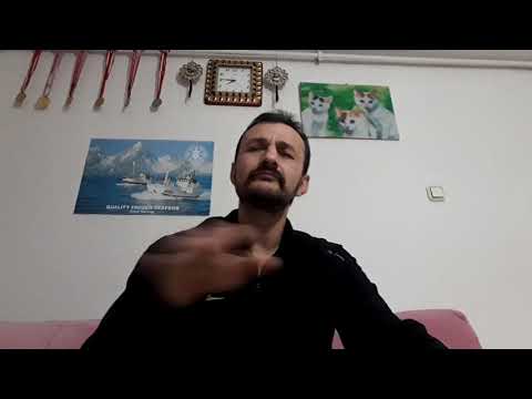 AZİZ EKŞİ nayinno