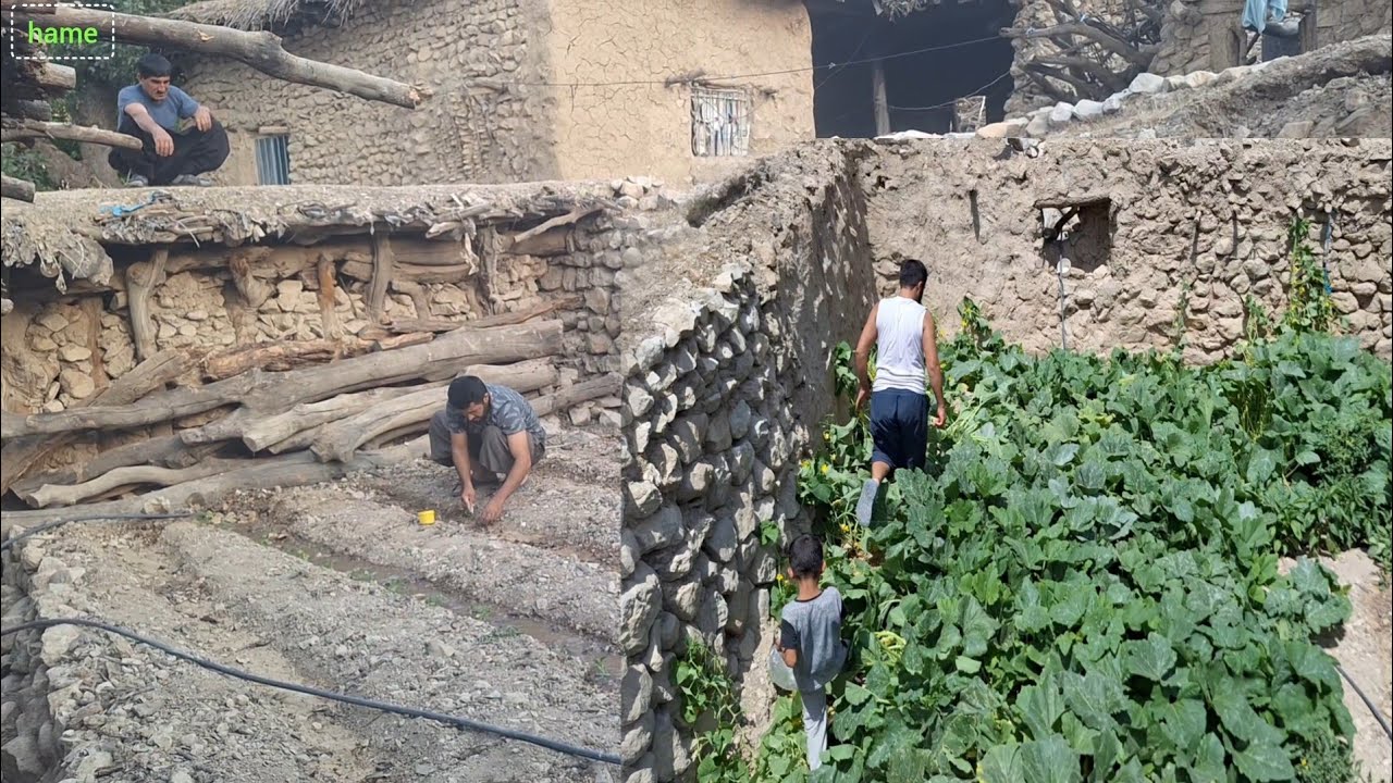 Nomadic life: "Manezhe's return to nomadic life: Hamed's lively day, from grooming his children ...