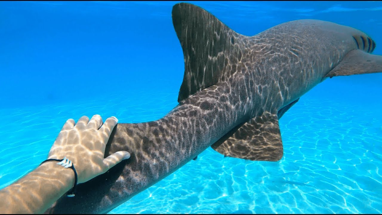 Exumas: The Bahamas 4k - YouTube