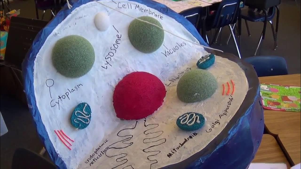 Teach With Choice Boards: Cell Project - YouTube