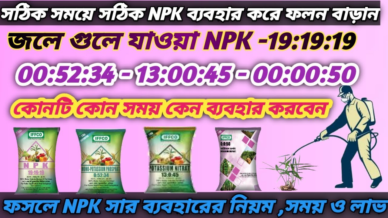 আলু চাষ,ধান চাষ বা যে কোন সব্জি চাষে NPK সারের ব্যবহার।NPK সার ...