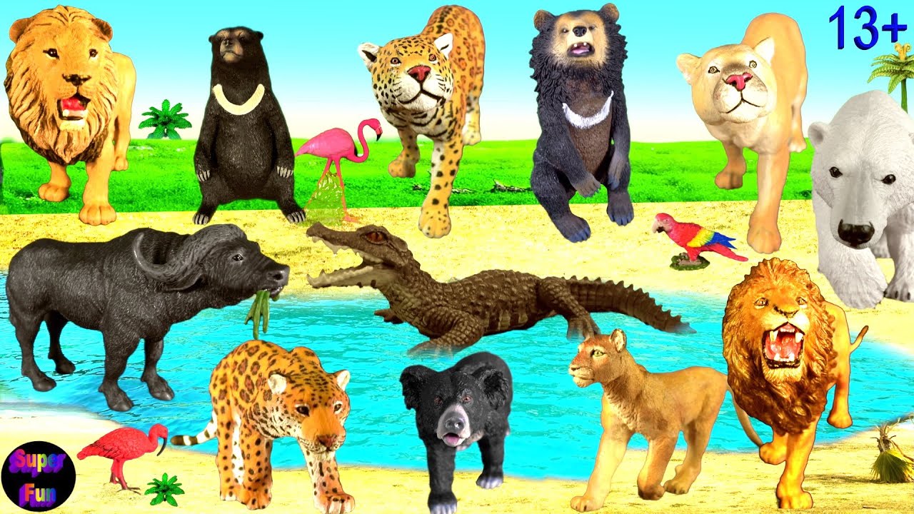 Animals - Lion, Jaguar, Cougar, Asiatic Bear, Polar Bear, Buffalo ...