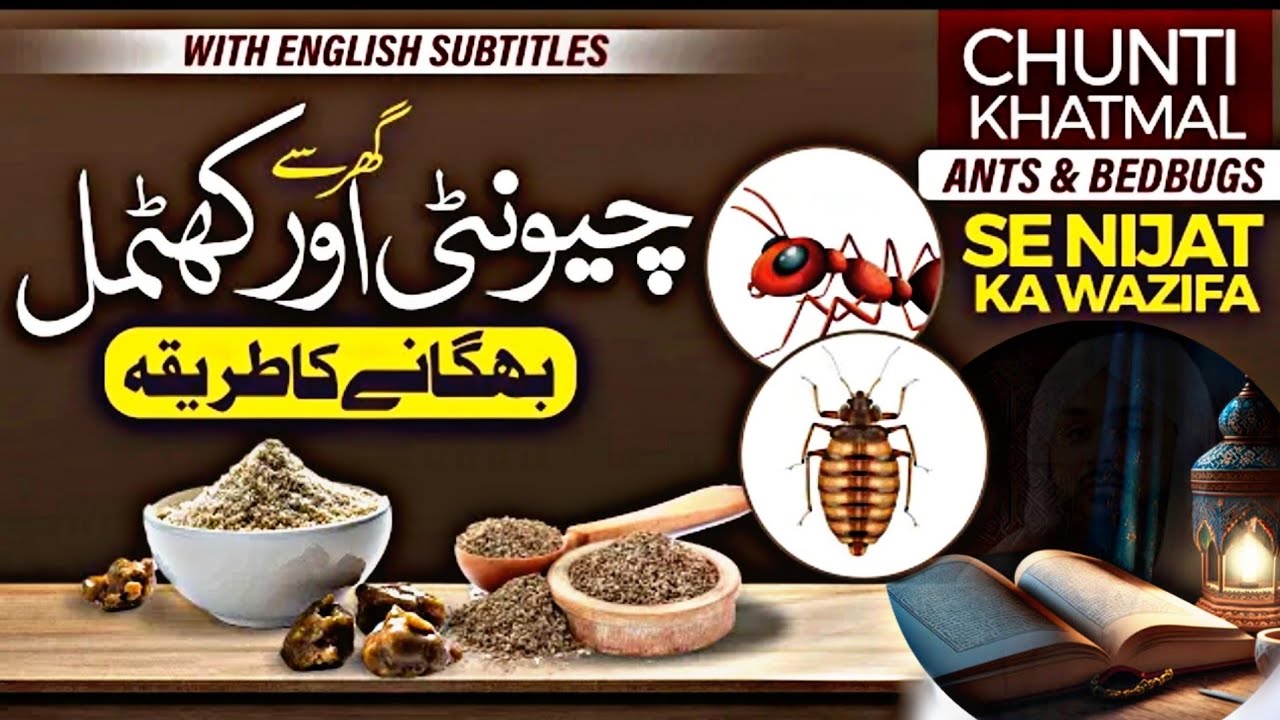 Chuntion (Ants) Aur Khatmal (Bedbugs) Ko Bhagane Ka Tarika | Keery ...