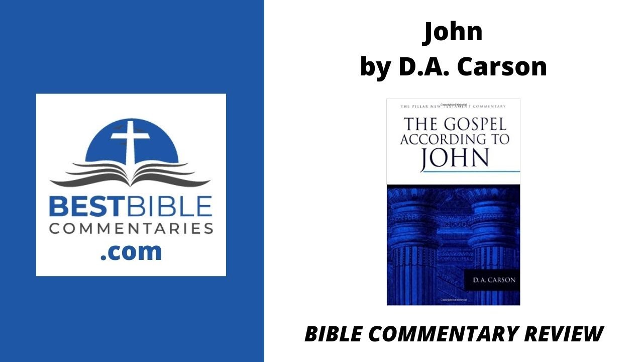 John by D.A. Carson | Bible commentary review - YouTube