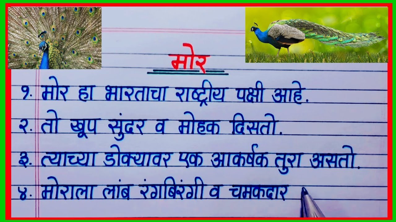 मोर निबंध मराठी १० ओळी / mor marathi nibandh 10 oli/ माझा आवडता पक्षी ...