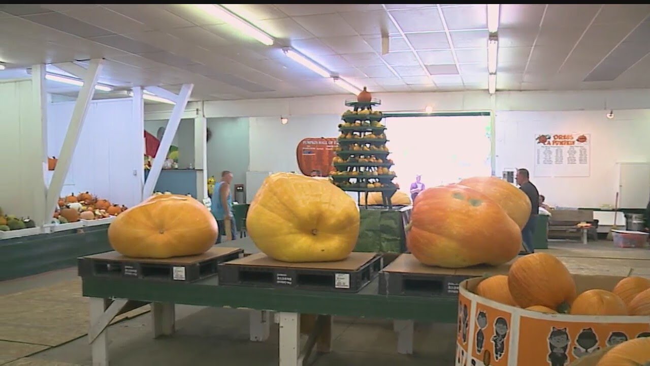 Location change made to pumpkin show at Canfield Fair after loss of ...