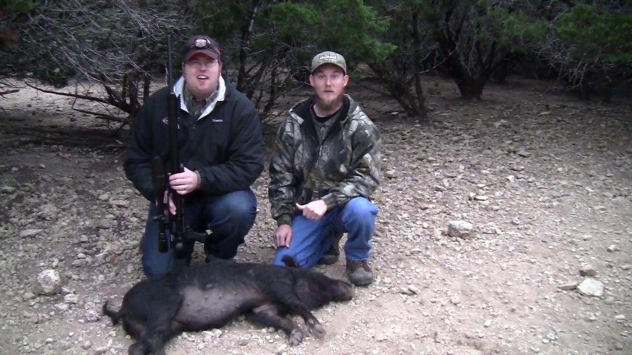 Hog Hunt at DB Hunting Ranch with a .45 Caliber Airforce Airguns Texan ...