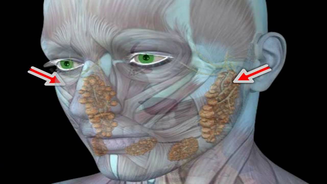 Update Large Facial Tumor Removal Parotid Gland The Doctors Tv Show Youtube