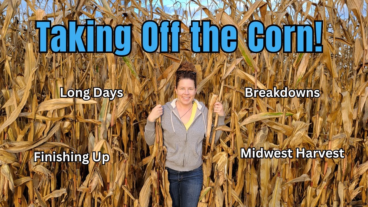 TAKING OFF THE CORN! | Some Surprises! |Finishing Up A Midwest Harvest ...