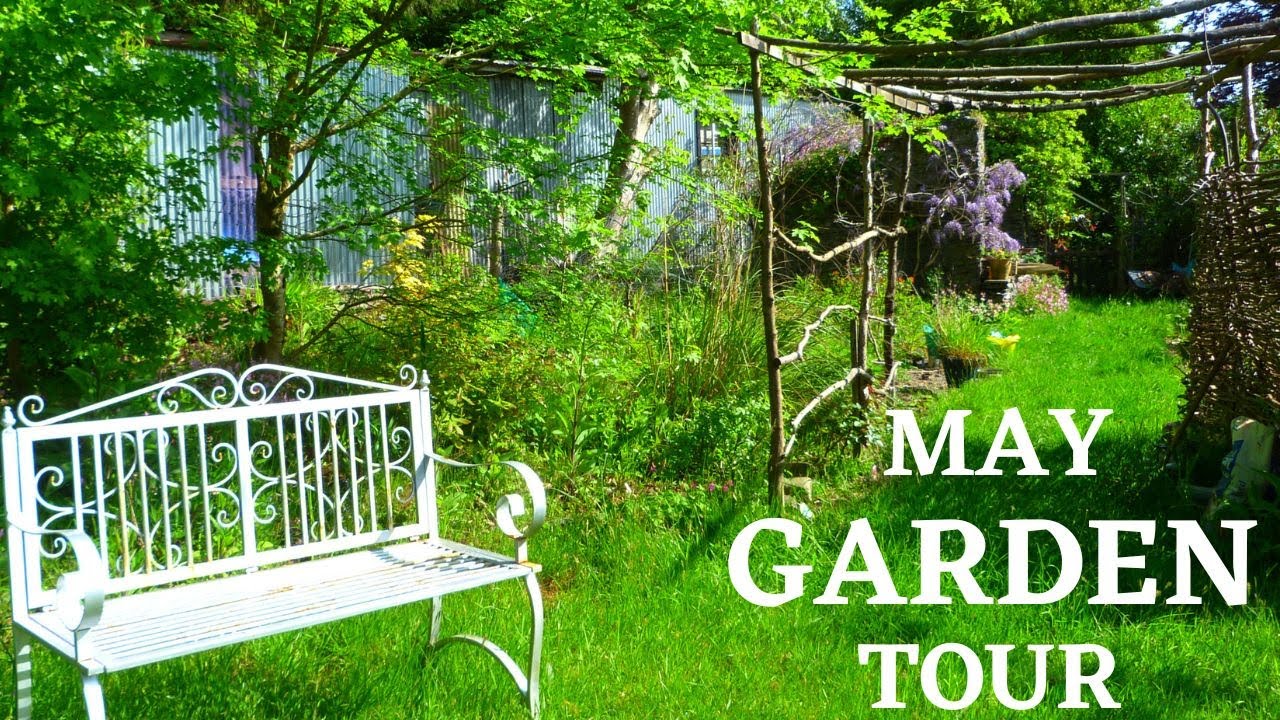 MAY GARDEN TOUR OF MY COTTAGE GARDEN Wildwood Cottage Diary # ...