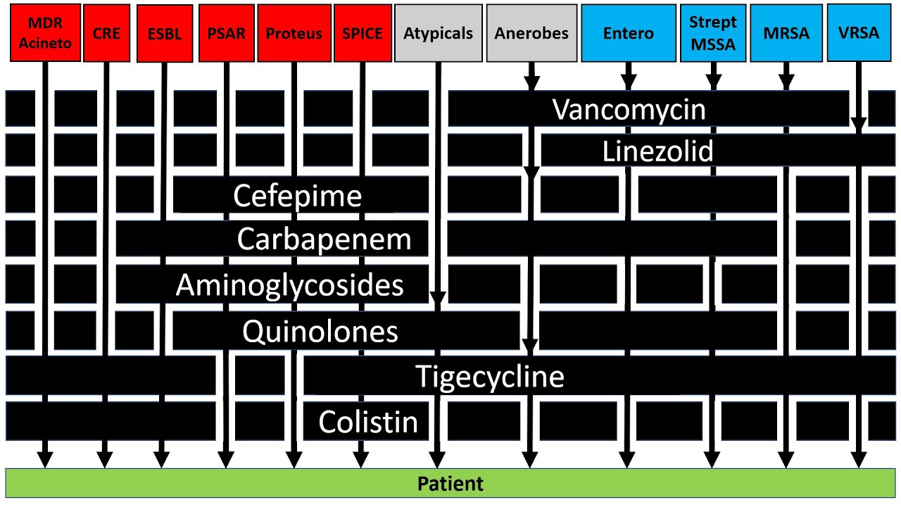 Spectrum of different classes of antibiotics and its implications on ...