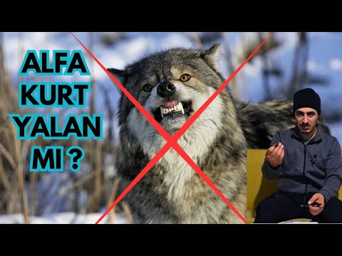 KƏFƏR!  Bu İnanca Artıq Son Verilməlidir.