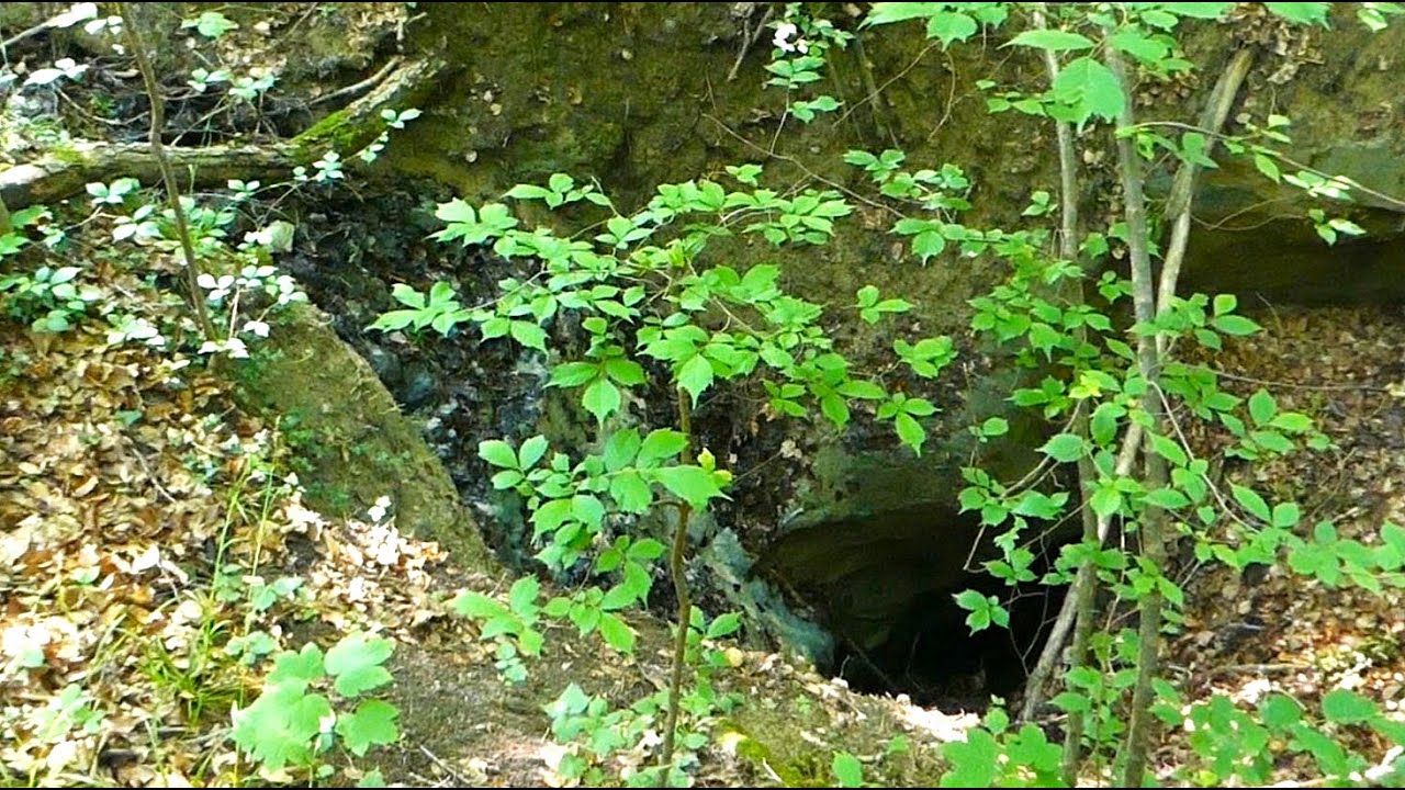 Bach verschwindet in seltsamem Loch - YouTube