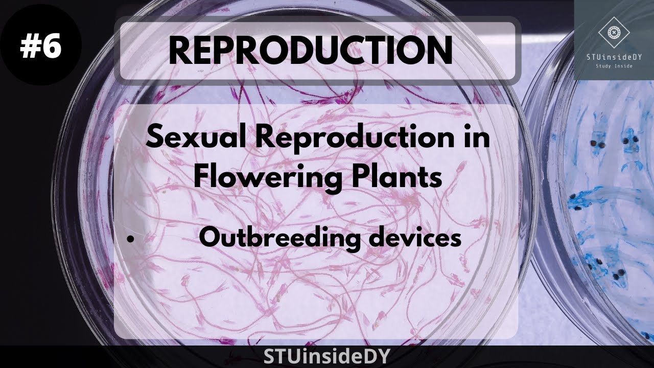 Reproduction in Flowering plants | Outbreeding devices | Unit- 6 ...
