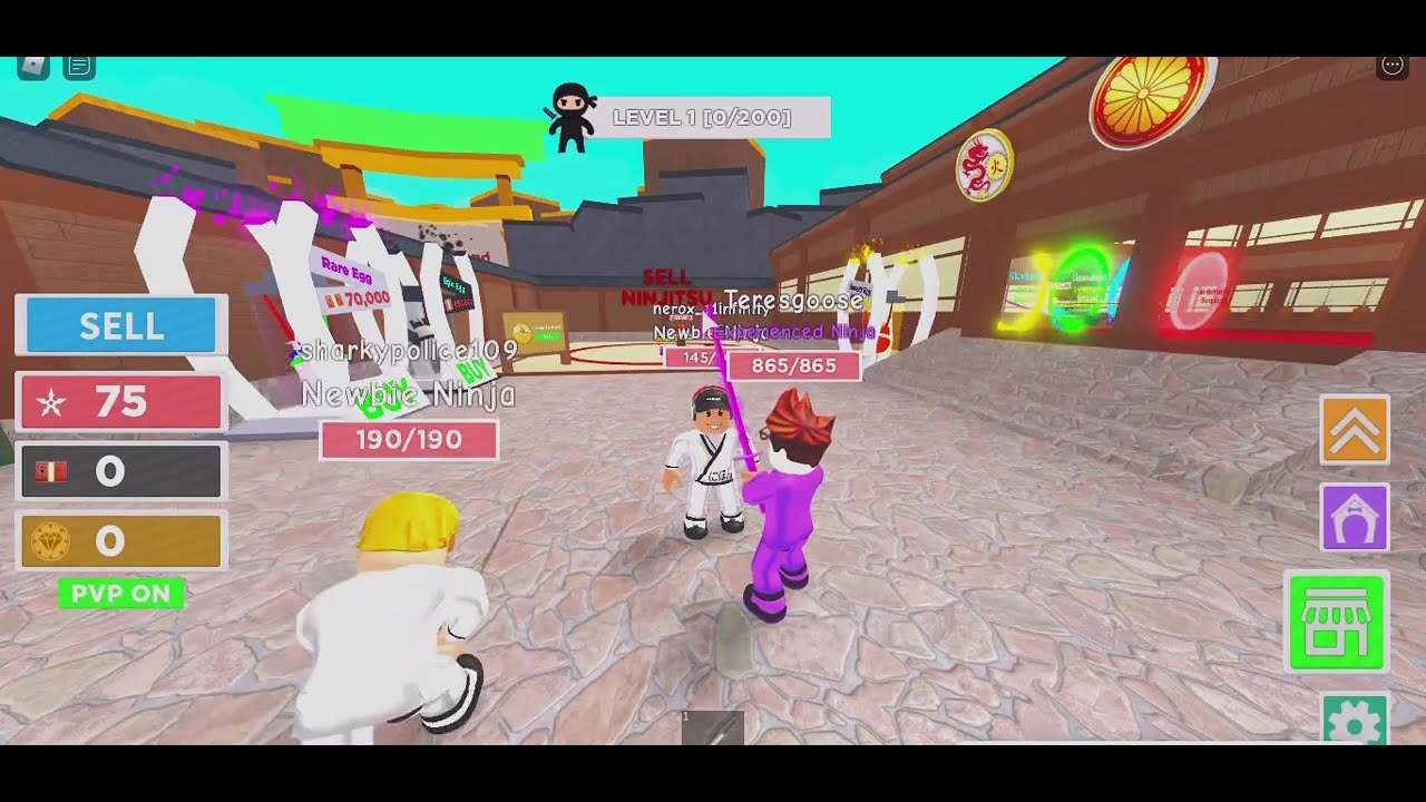 Ninja Master ( Roblox) - YouTube