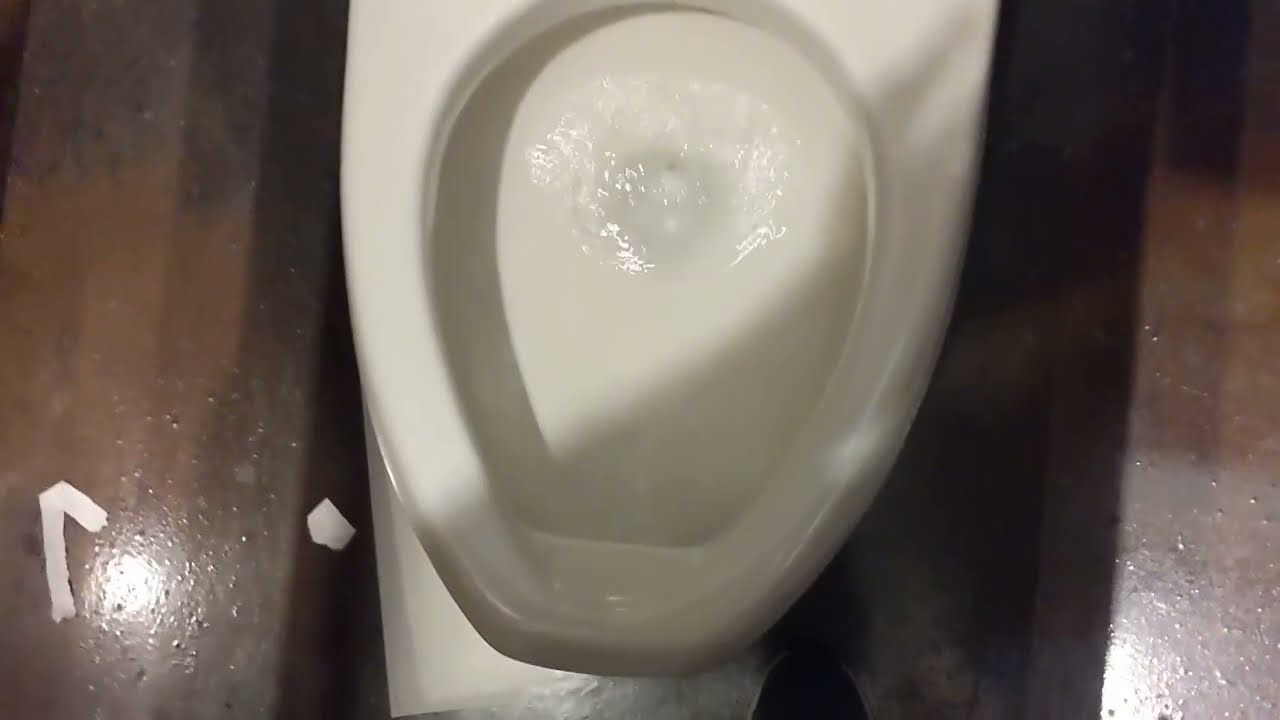 Bass Pro Shops | Men’s Restroom Tour | Bass Pro Blvd | Leeds, AL - YouTube