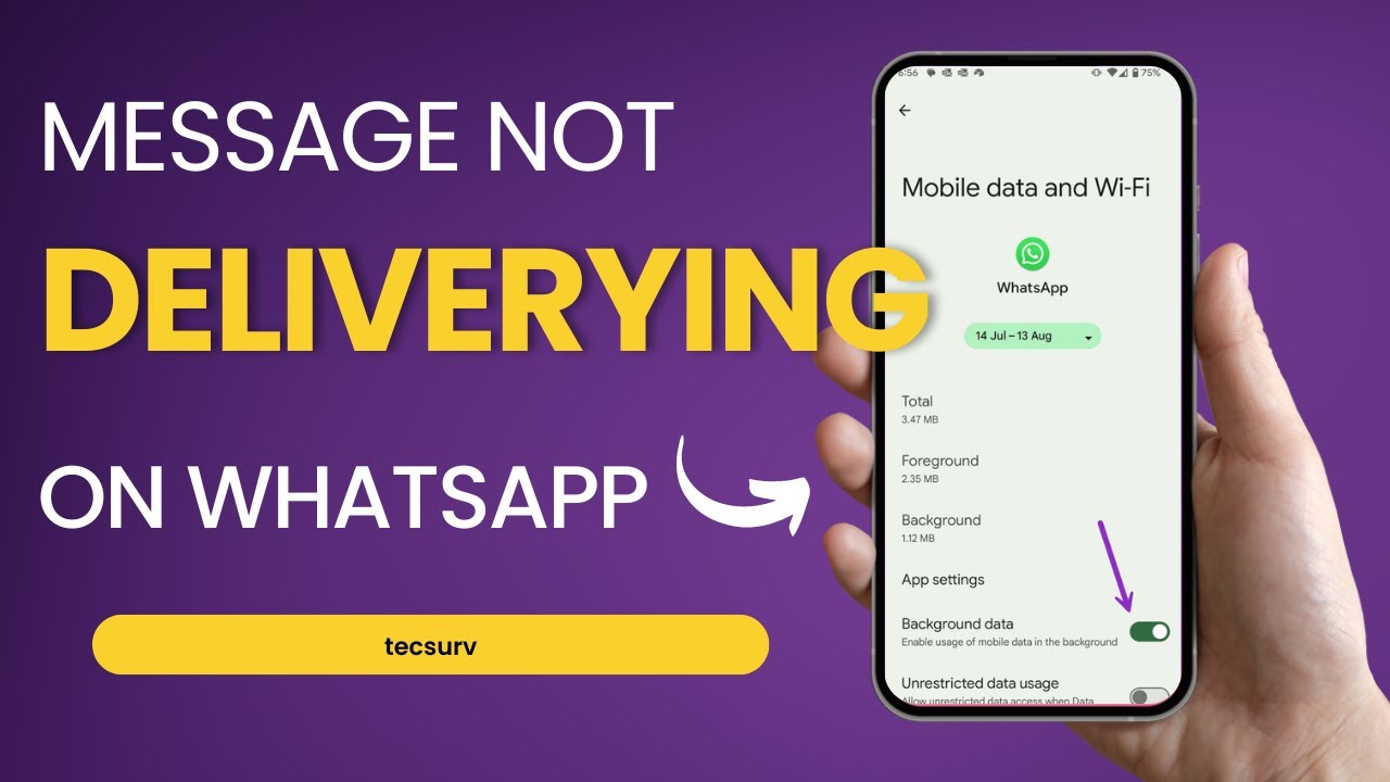 How to Fix WhatsApp Message Not Delivered - YouTube