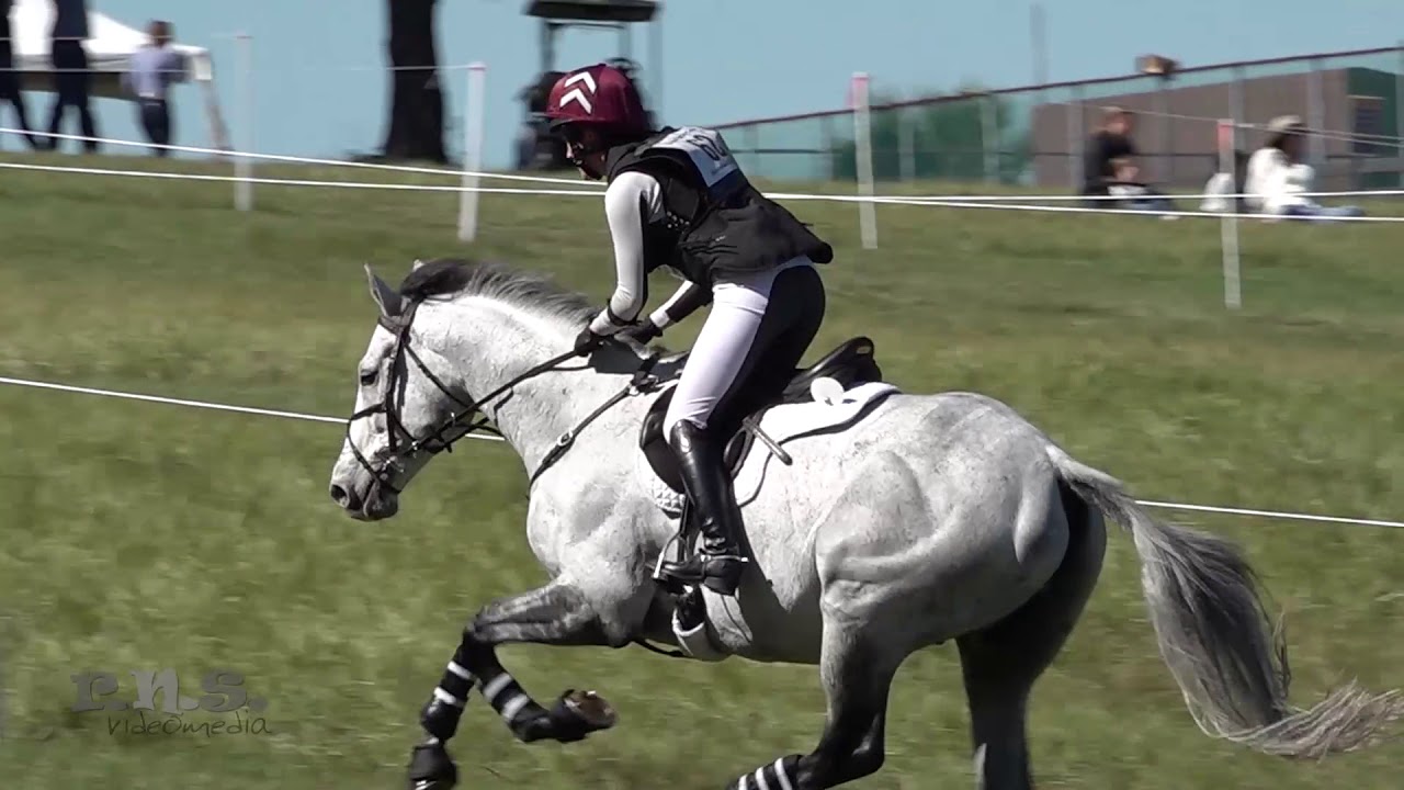 Isabel Holden & Rebel Soul Ocala Jockey Club CCI November 2018 - YouTube
