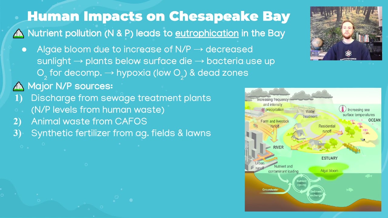 AP Environmental Science 4.6 - Watersheds - YouTube
