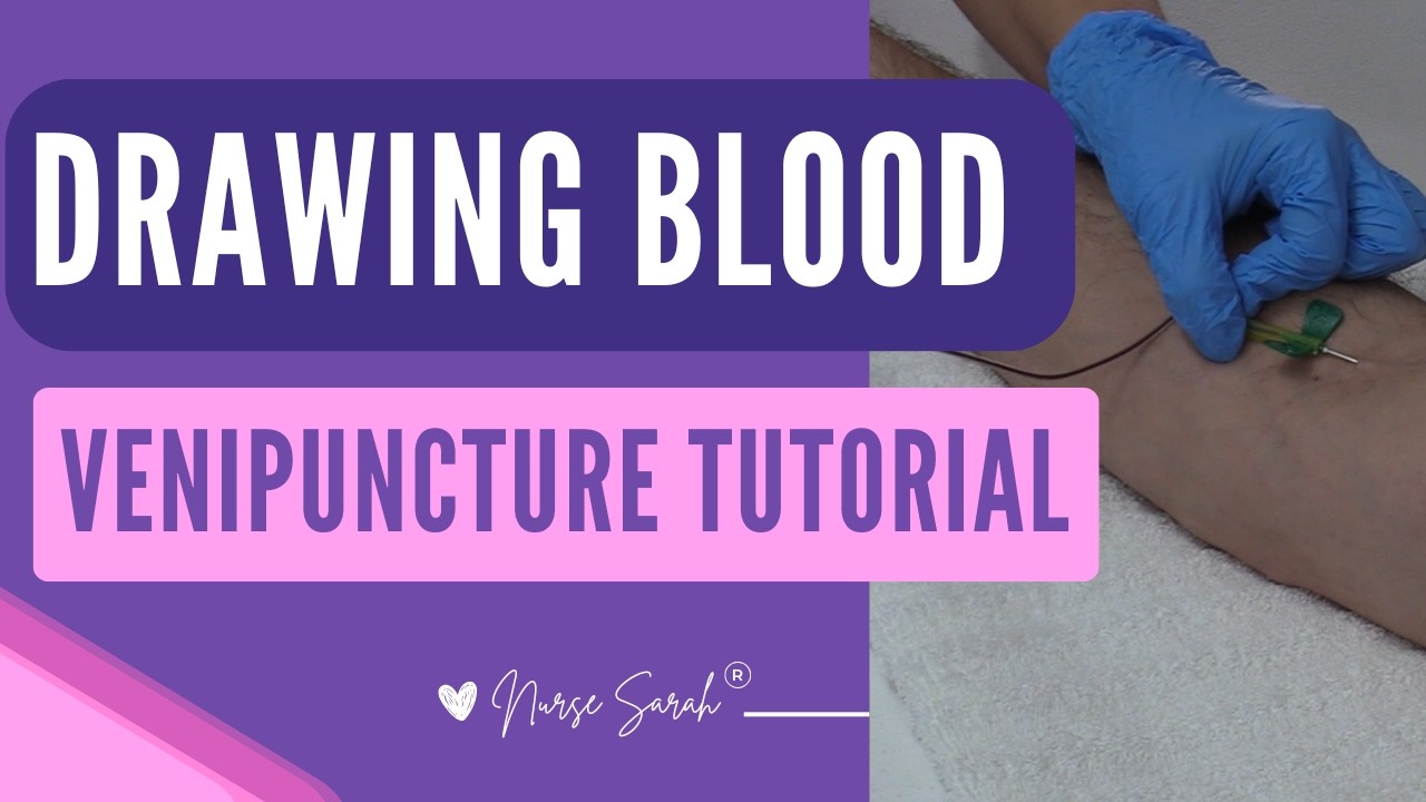 How to Draw Blood for Labs Nursing: Phlebotomy Venipuncture Blood ...