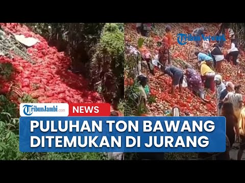 Warga Batam Heboh Temukan Gundukan Bawang Merah Dibuang di Jurang