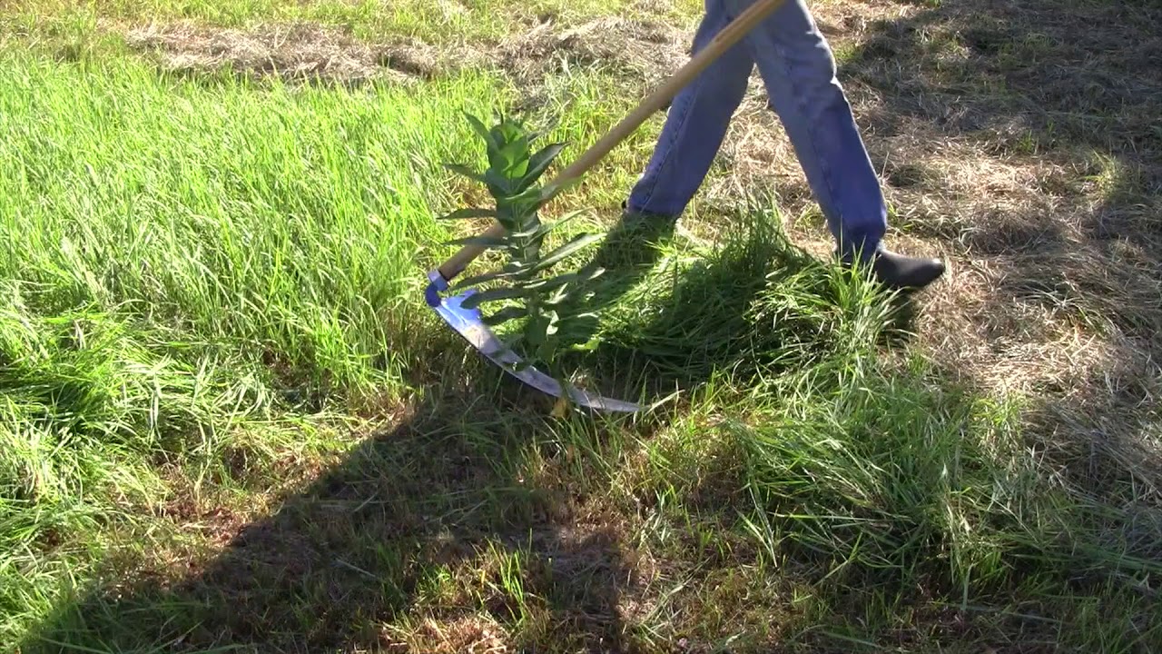 Grass Scythe Cutting Demo