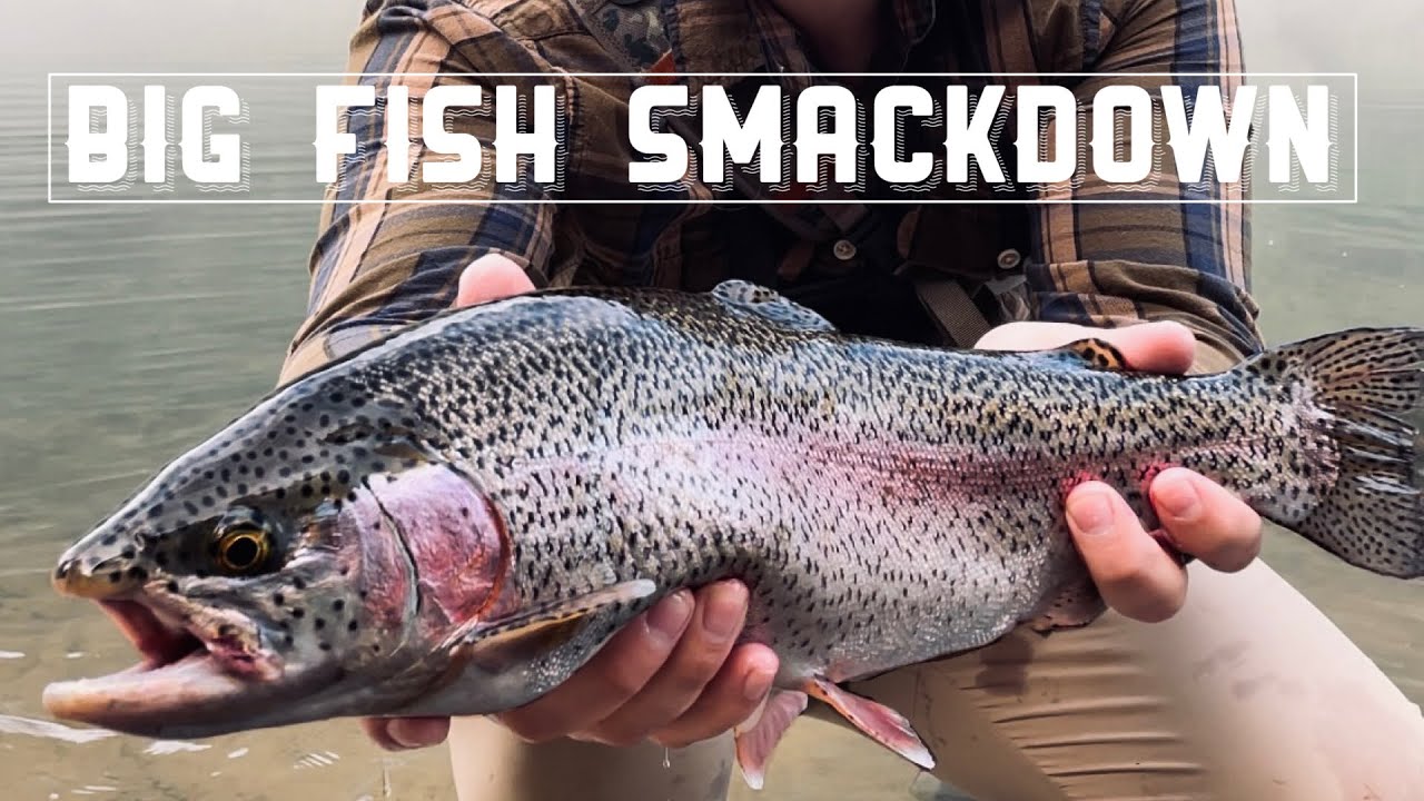Catching Big Trout On The Little Red River Pt. 2 - YouTube