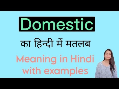 Domestic का हिंदी में मतलब Meaning of Domestic in Hindi with examples ...