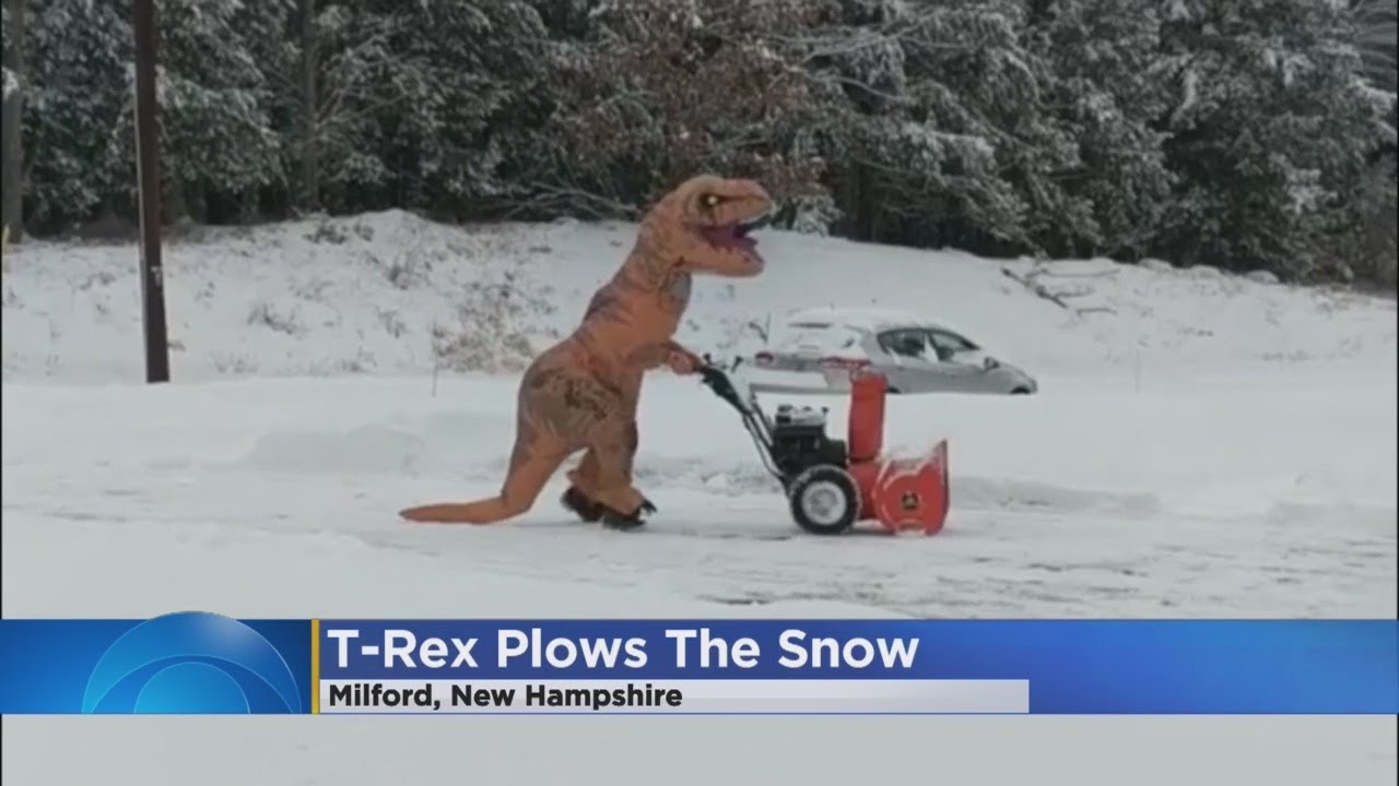 T-Rex Battles Winter With Snowblower - YouTube