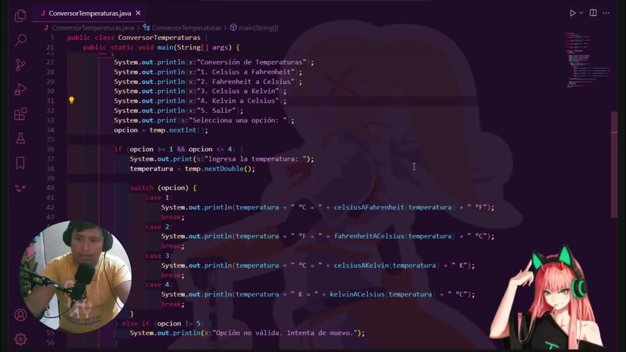 programando en Java - YouTube
