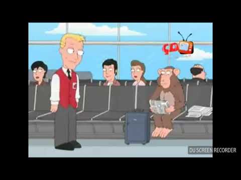 Qirje me majmunin! 17 Maji