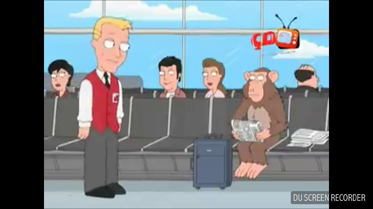 Qirje me majmunin! 17 Maji - YouTube