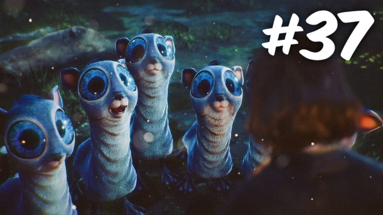 Hogwarts Legacy - Part 37 | THE MOONCALVES SHOWS THE WAY (NO COMMENTARY ...