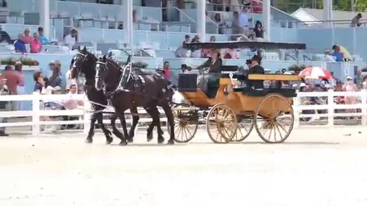 Devon 2015 Carriage Pleasure Drive Singles and Pairs - YouTube