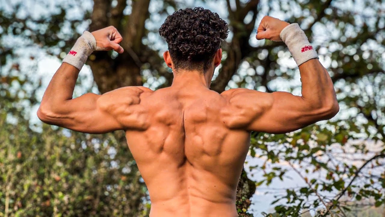 BACK Exercises 🔥 From Level 1 to Level 8‼️(Calisthenics) - YouTube