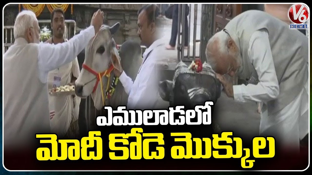 PM Modi Offers Kode Mokku At Sri RajaRajeshwara Swamy Temple ...